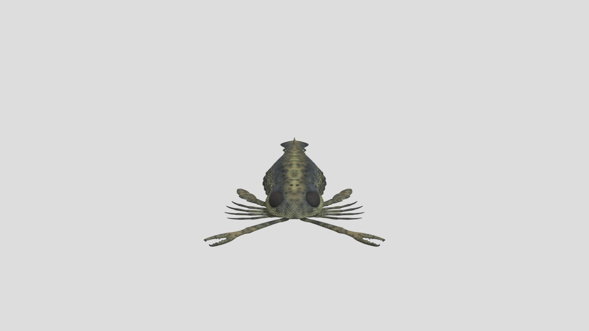Dinoraul's Pterygotus - Download Free 3D model by Sammy the Citipati ...