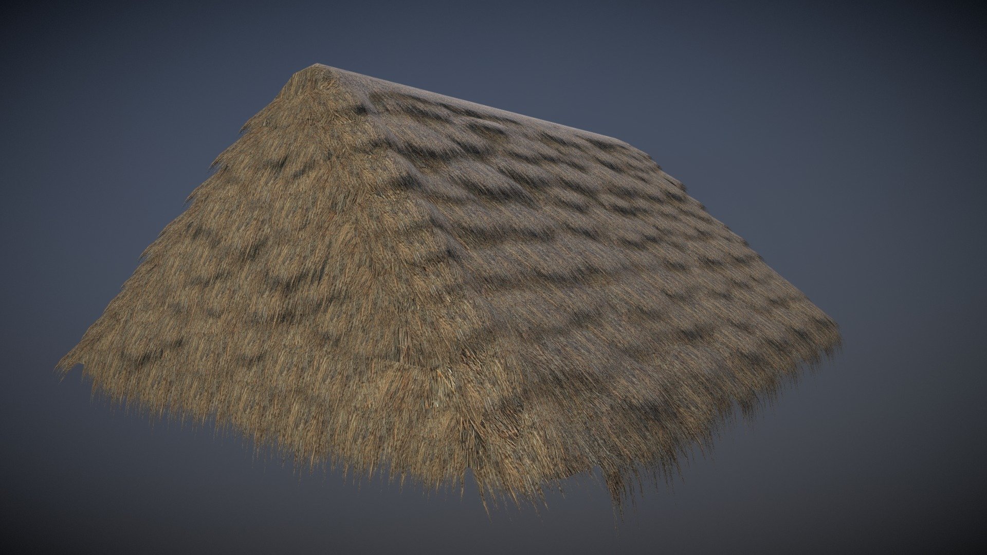 Test Thatch - 3D model by johnny650 [710558a] - Sketchfab