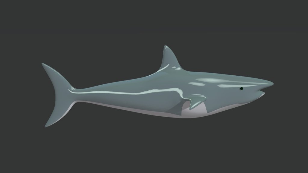 Shark Tutorial - 3D model by sarahb [710c7eb] - Sketchfab