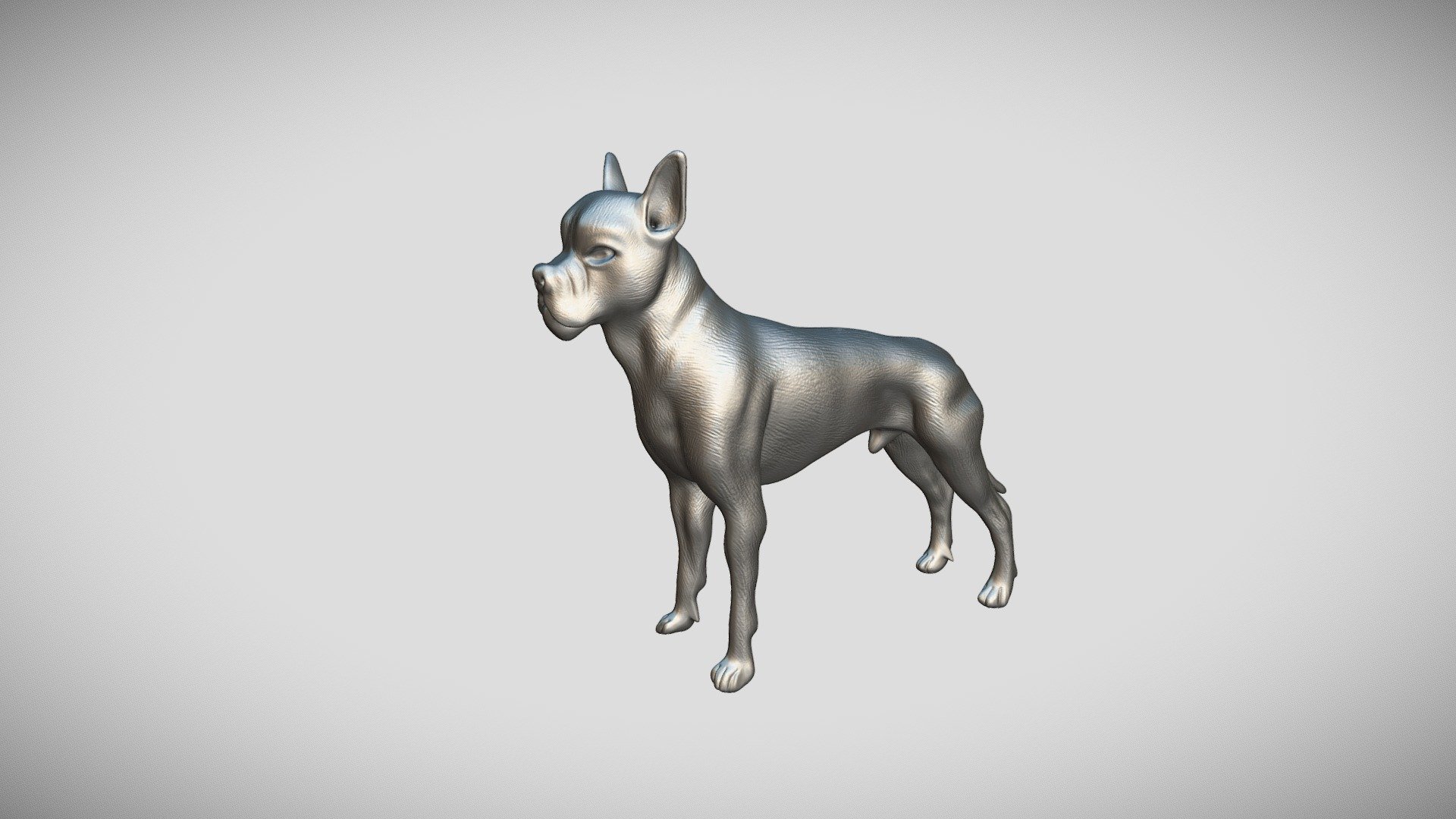 Dog - 3D model by nimrayyy6 [7114659] - Sketchfab