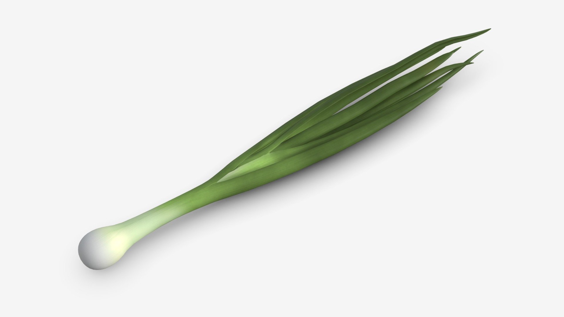 Spring onions 04 - Buy Royalty Free 3D model by HQ3DMOD (@AivisAstics ...