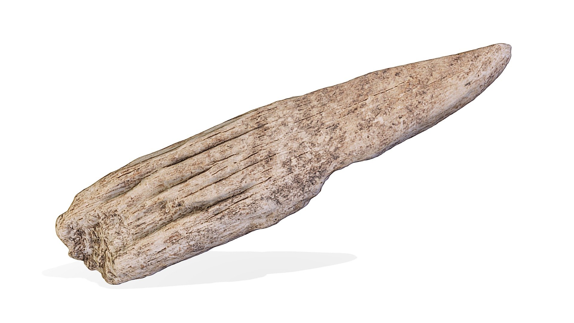 Bone Fid or Awl Artifact - 3D model by University of South Florida ...