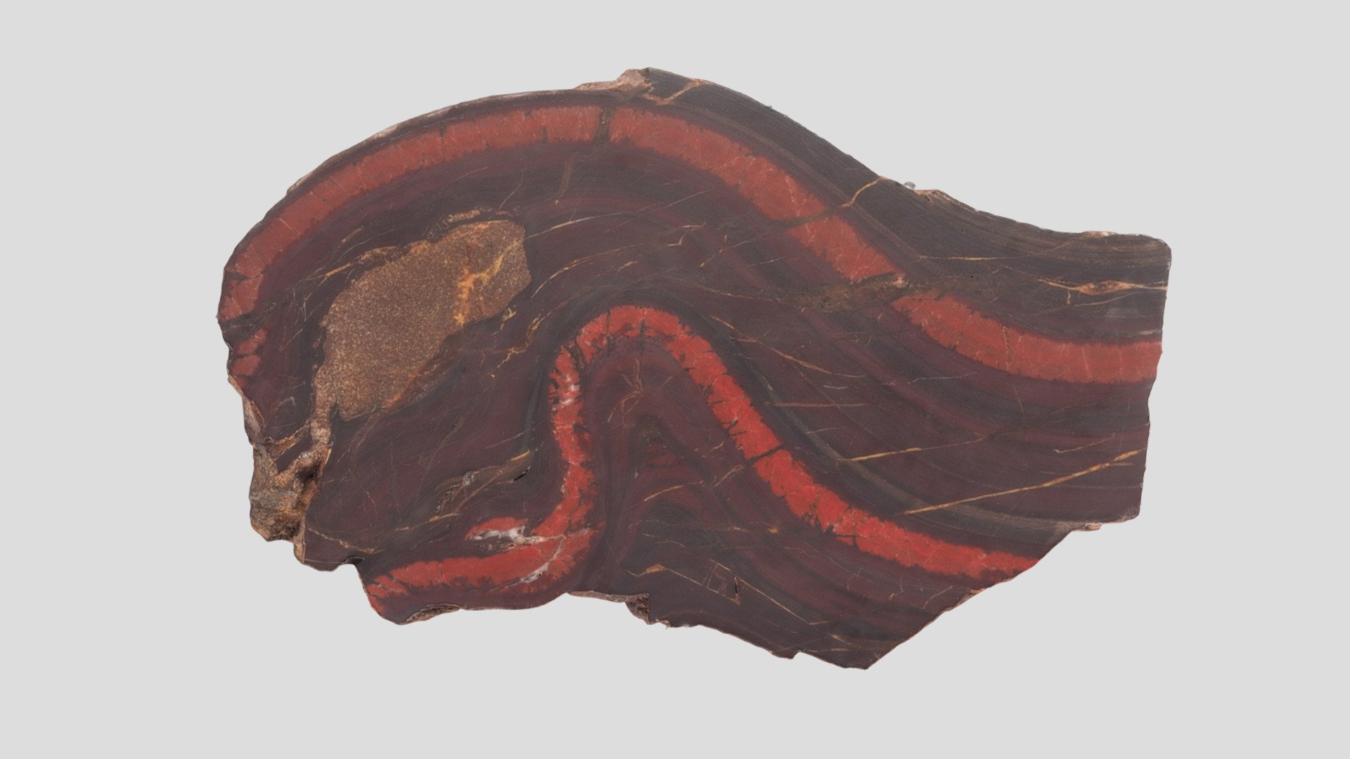 Jaspilite with synsedimentary folds - Download Free 3D model by Jena ...