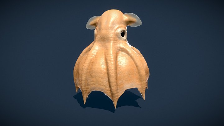 Octopus 3D models - Sketchfab