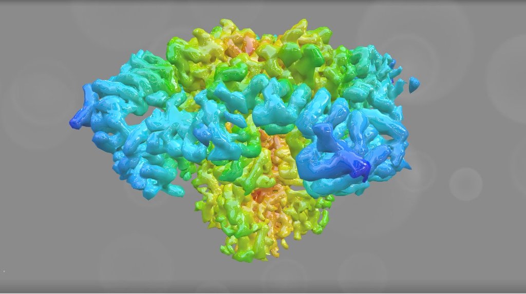 IP3R1 channel in the apo-state - NATURE (2015) - 3D model by ...