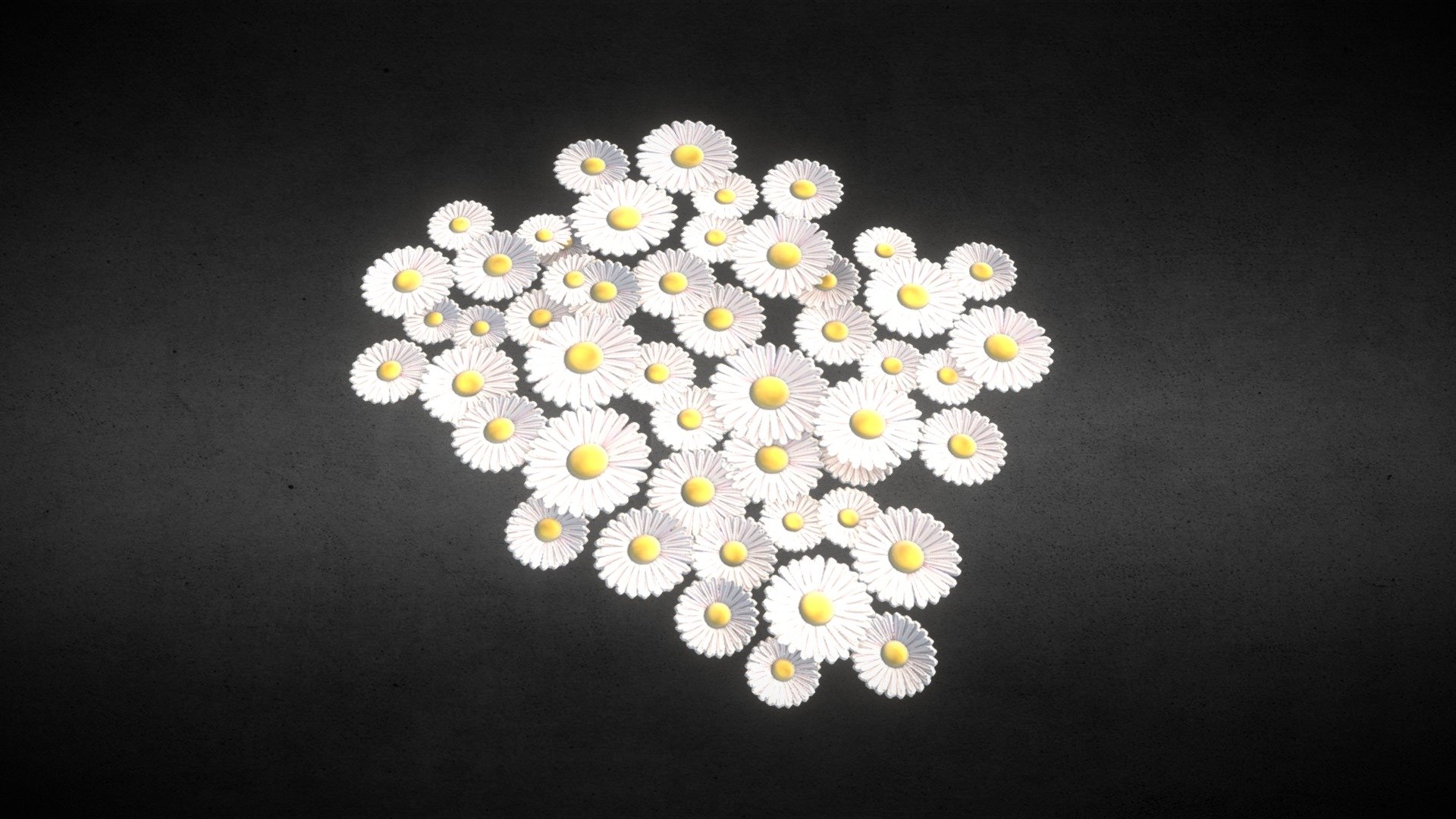 Daisies - 3D model by Neon-Paw Creations (@kayobe) [7143a99] - Sketchfab