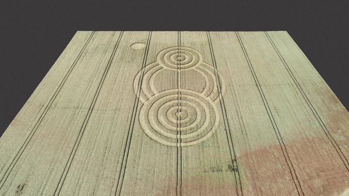 Circles 3D models - Sketchfab