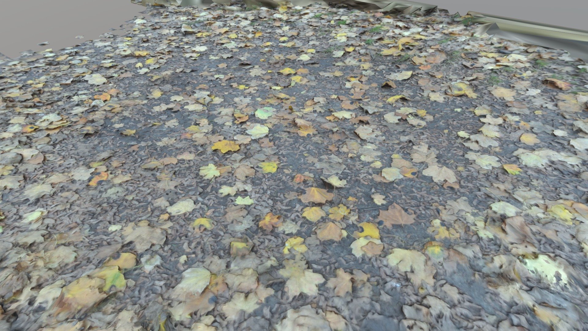 Leaves Scan - 3D model by Grégoire Desrousseaux (@g.desrx) [71533ea ...