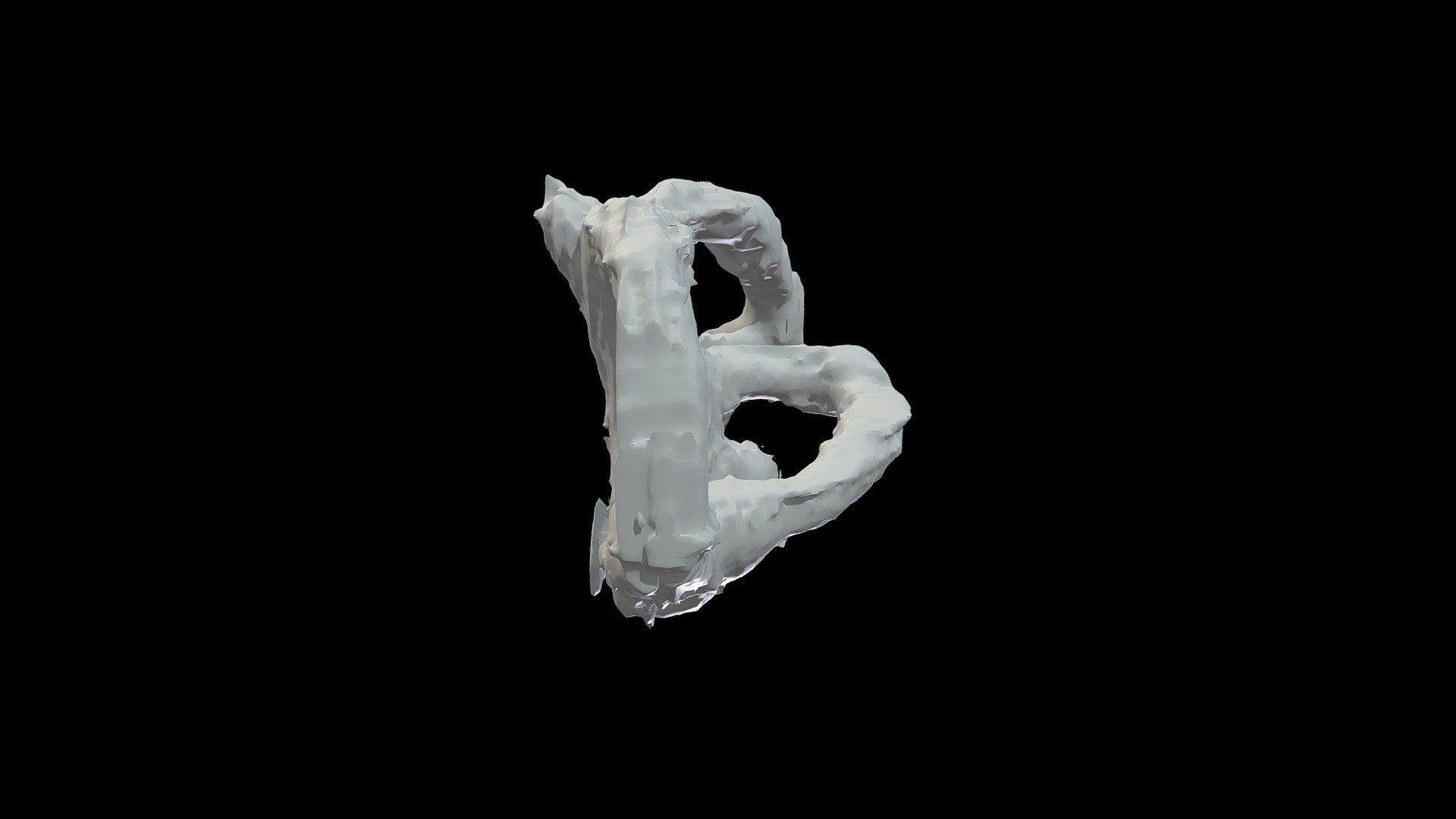 Inner Ear of Zebra Shark (Stegostoma) - 3D model by allisonbronson ...