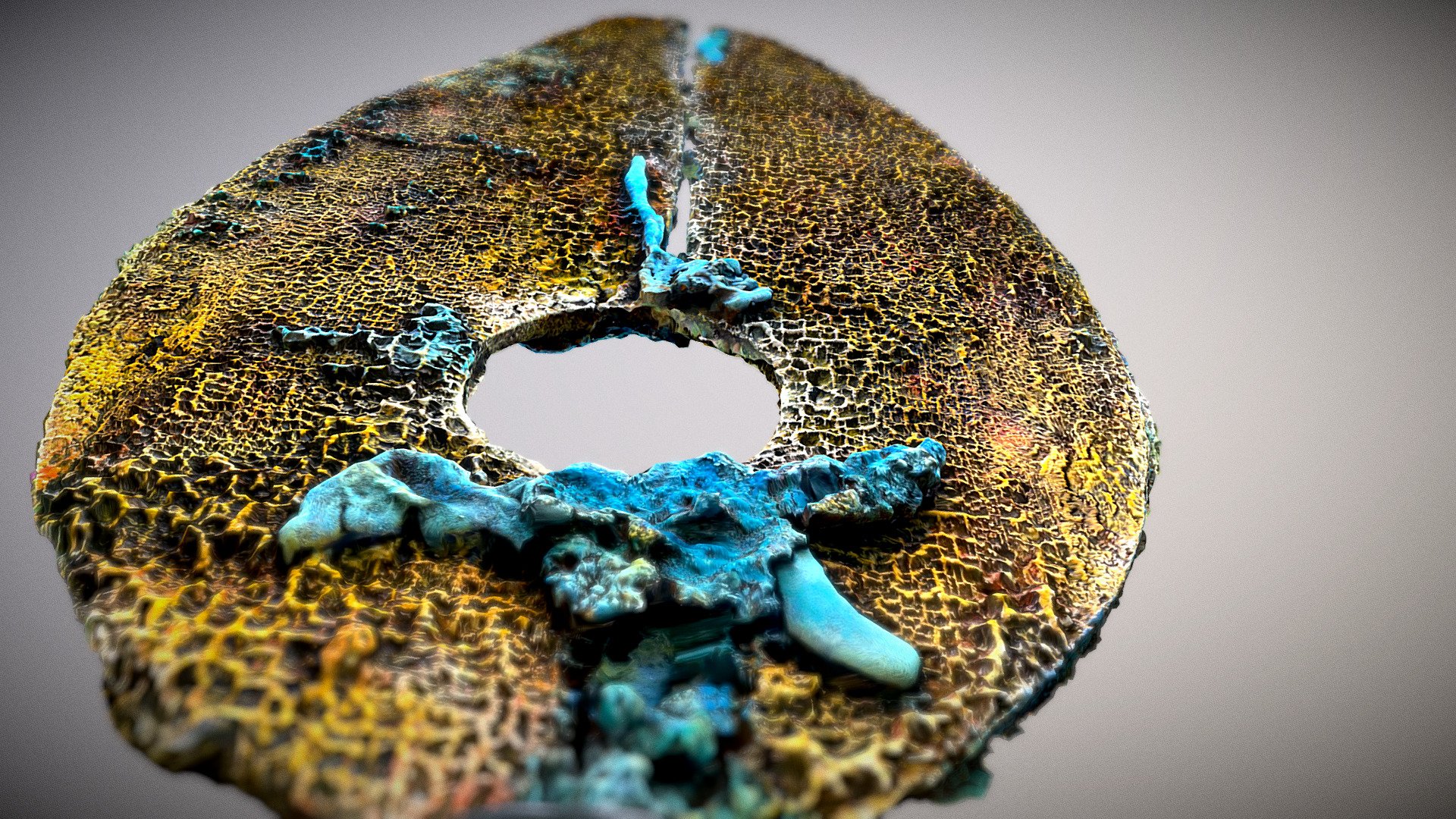 Venus Rising by Michael Waller - 3D model by Peter Katz (@peterkatz ...