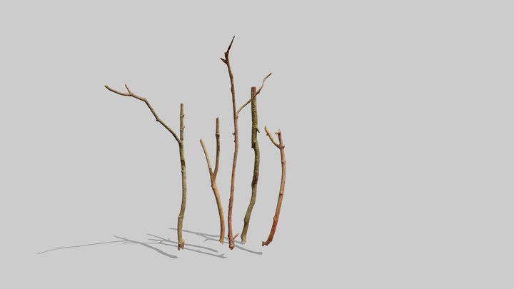 Twigs 3D models - Sketchfab