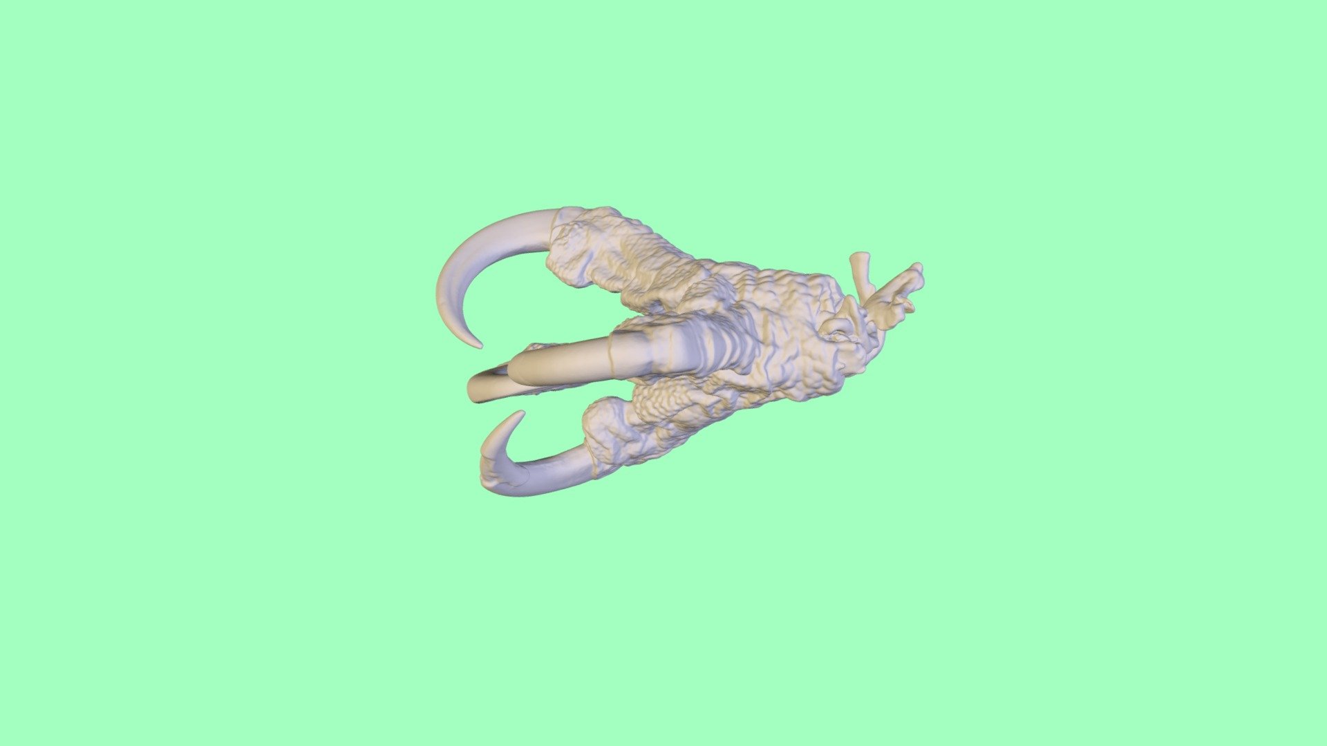 Osprey claw - 3D model by kc2253 [7164761] - Sketchfab