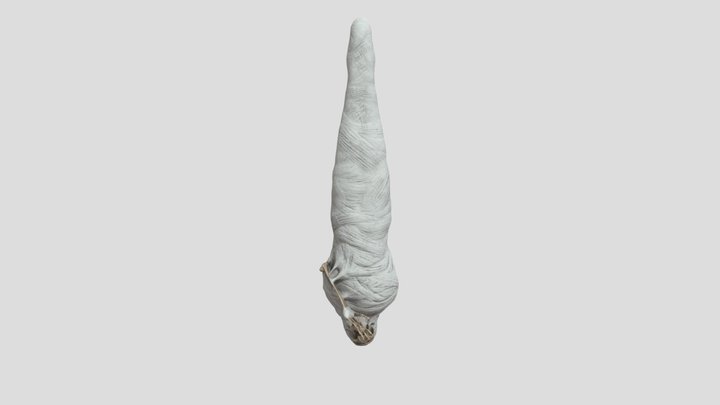 Cobweb 3D models - Sketchfab