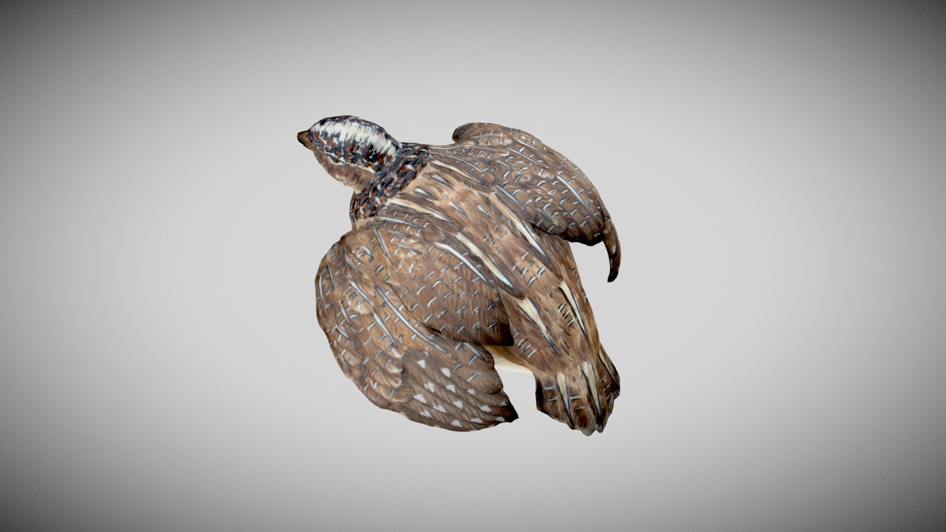 Capodimonte Porcelain quail 1/2 - Download Free 3D model by ...