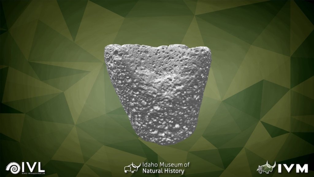 Basalt Mortar With Notch - Download Free 3D model by Idaho ...