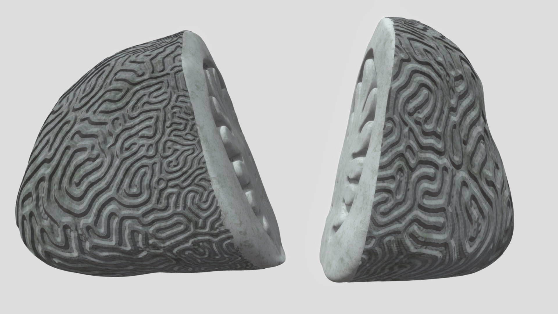 FS-13 - 3D model by GCC Art & Placemaking Consultants (@GCC_ART ...