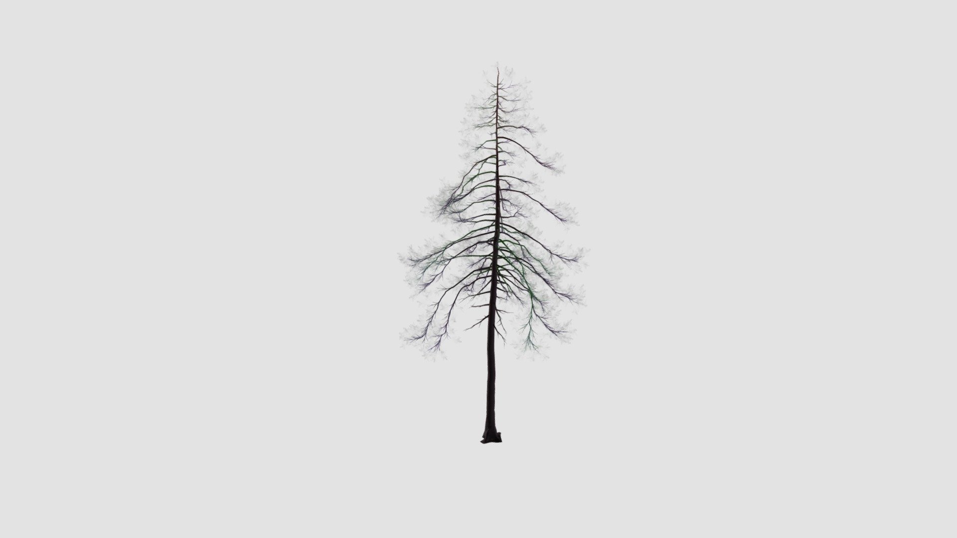 Tree - Buy Royalty Free 3D model by Evermotion [7188101] - Sketchfab Store