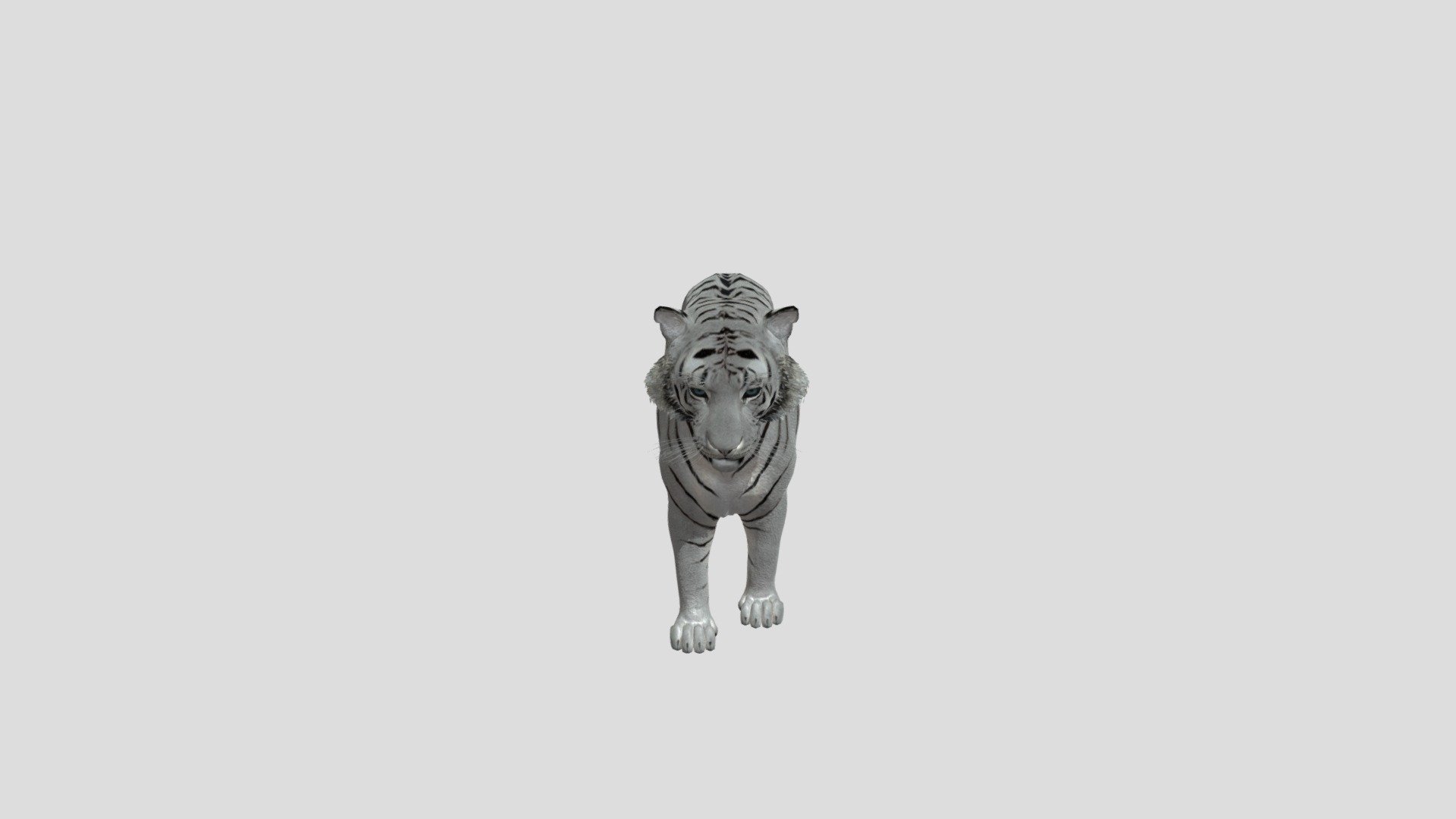 тигр - Download Free 3D model by sanya4694 [718c158] - Sketchfab
