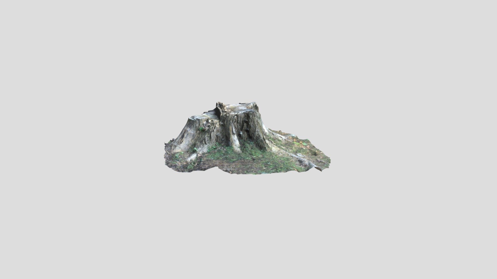 cut tree trunk - Download Free 3D model by Bidyashis [71956d7] - Sketchfab