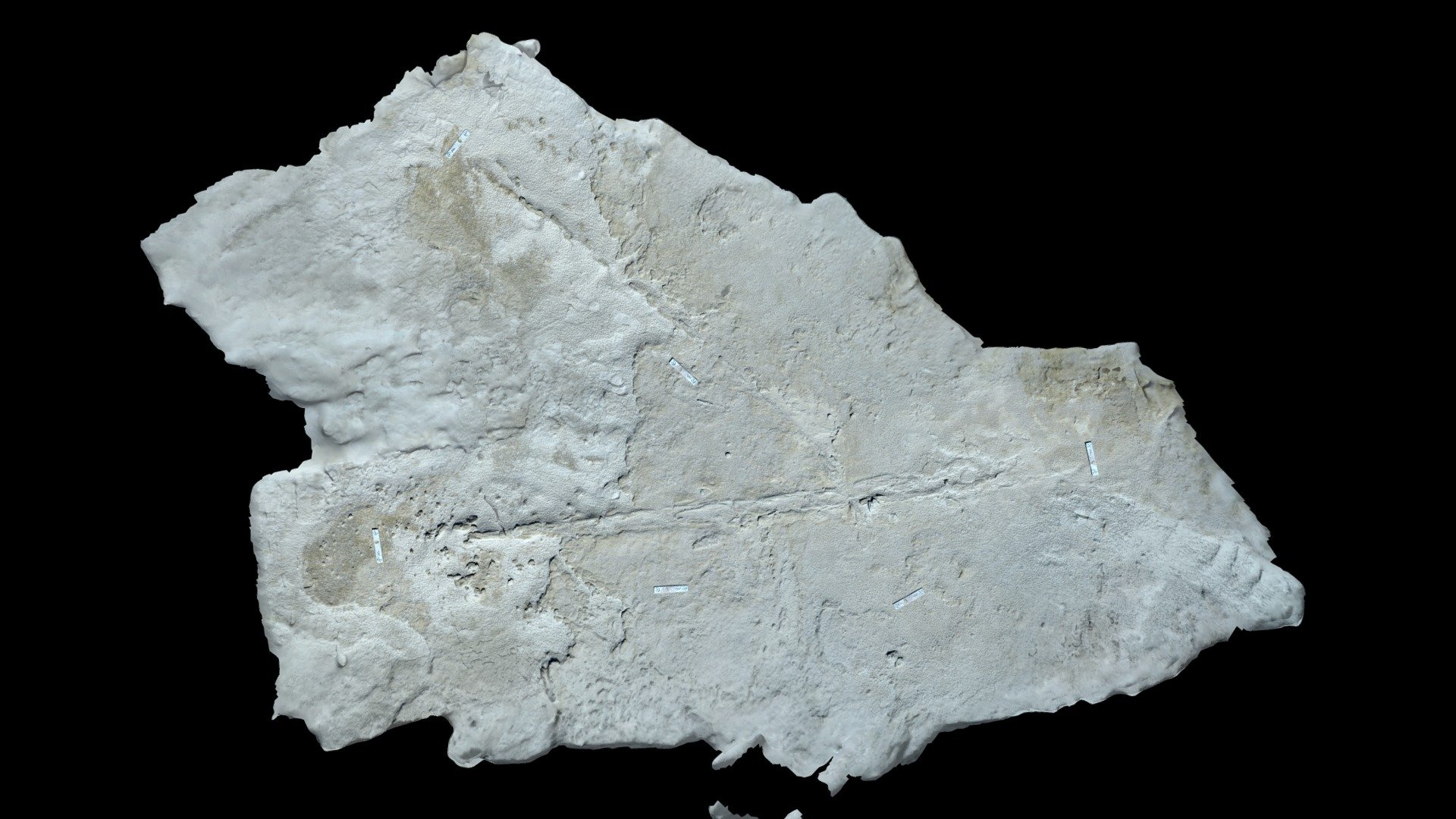 TR0080 & TR0081 - Linear marks from early people - 3D model by White ...