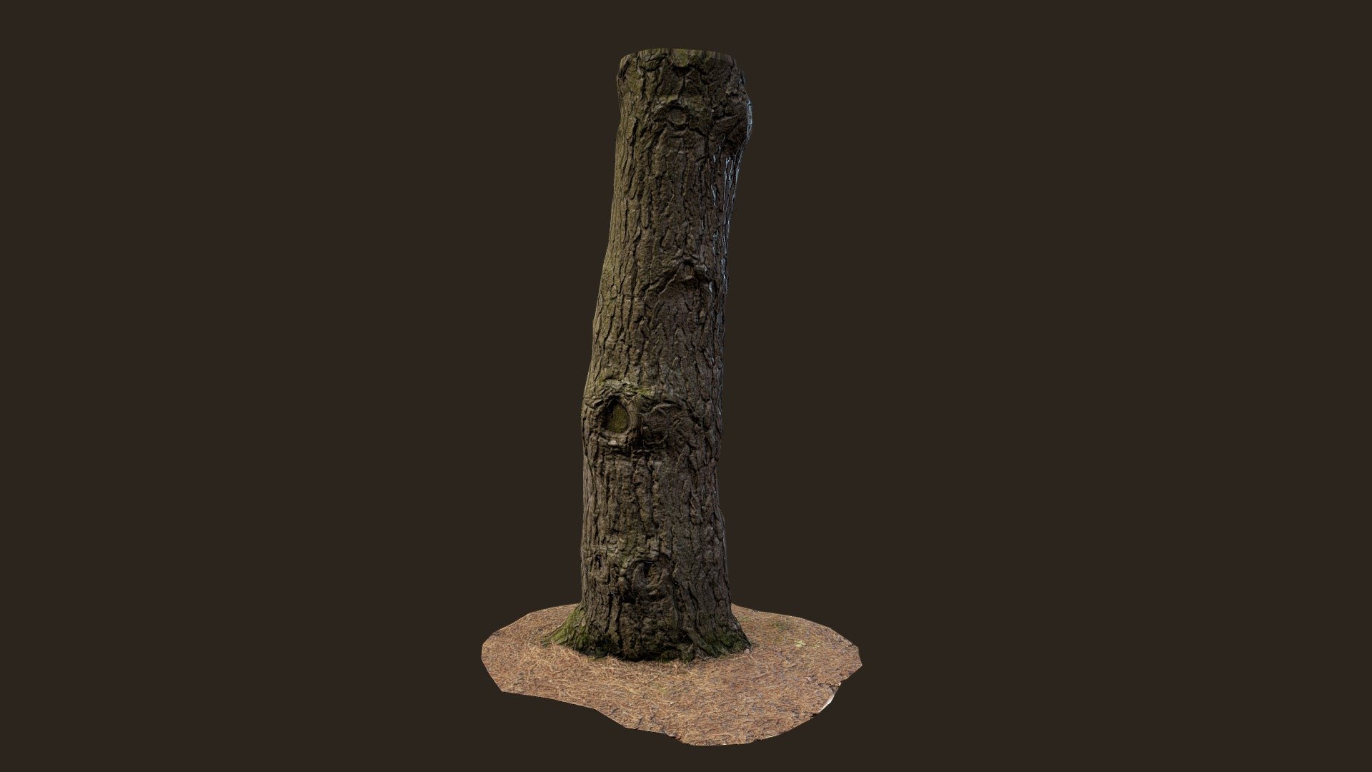 3D Scanned Tree Trunk 10 Buy Royalty Free 3D Model By 1k0 71a57fb Sketchfab Store