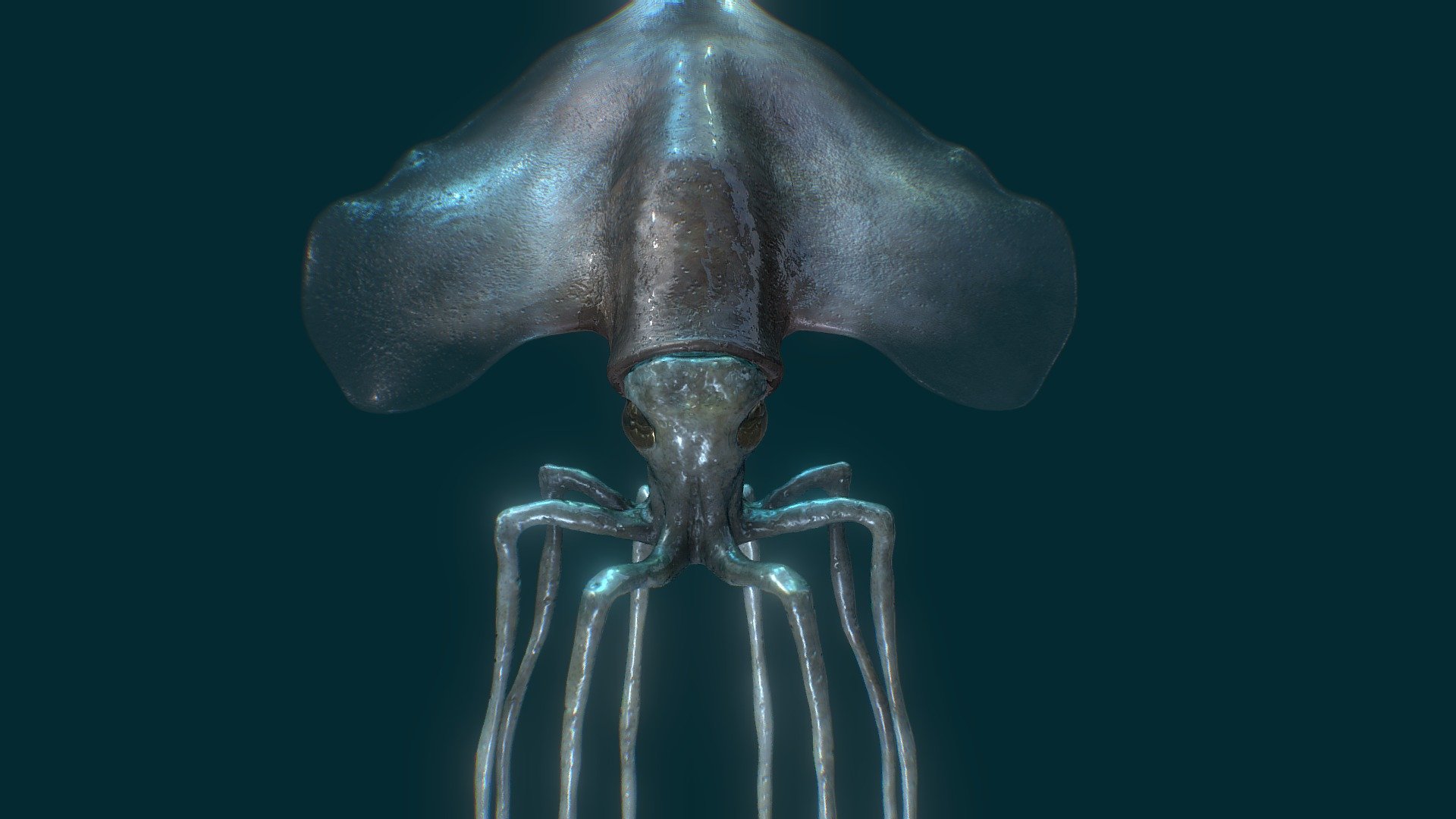 Bigfin squid Magnapinna - 3D model by Cécile Amstad (@c.m.a) [71a62ff] - Sketchfab