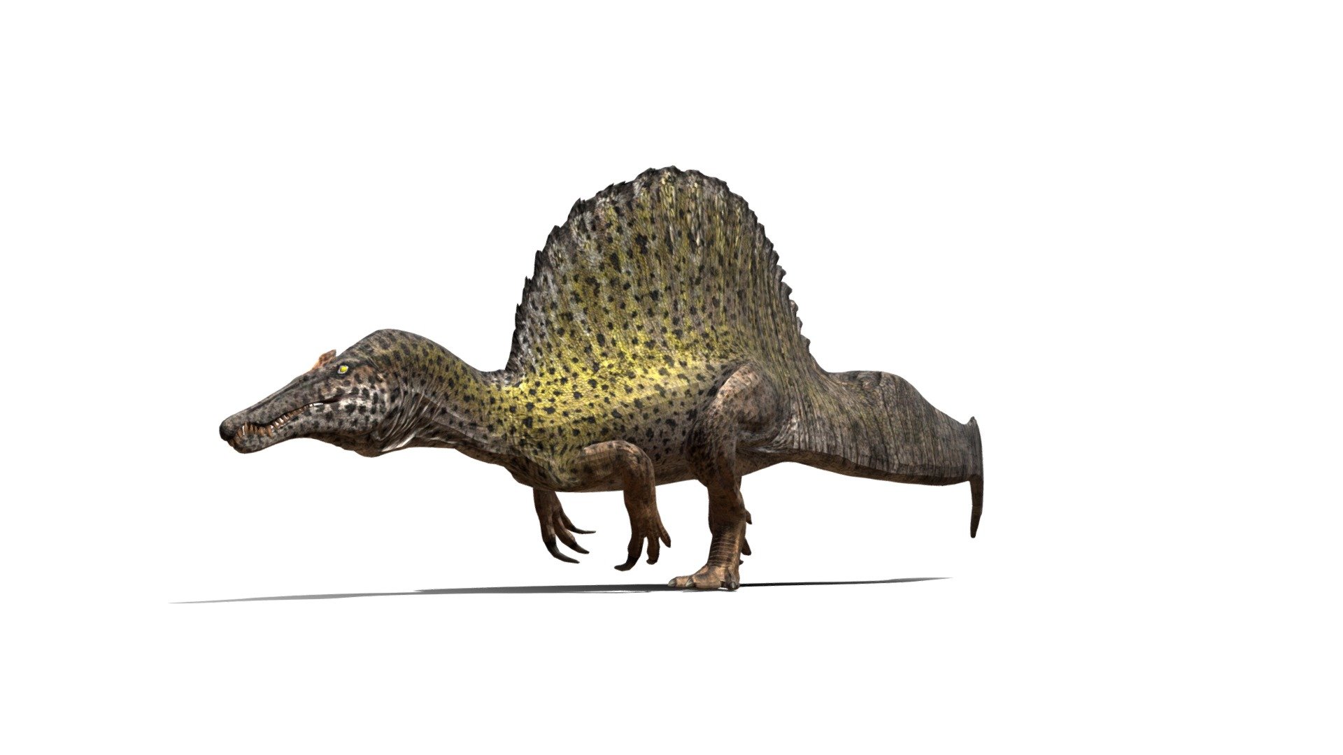 The Isle: (More) Accurate Spinosaurus - Download Free 3D model by ...