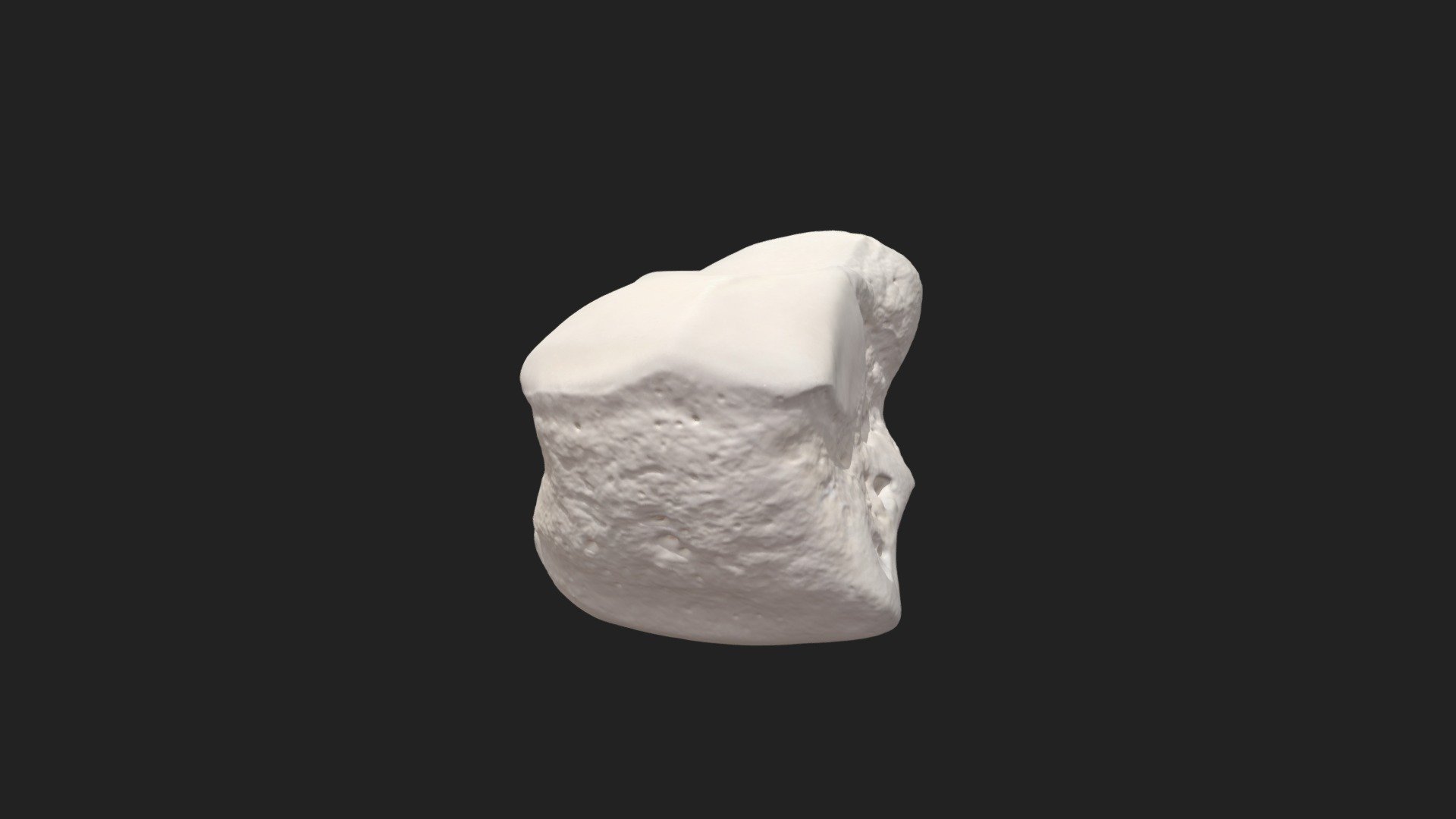 lunate bone (os carpi intermedium) pony - Download Free 3D model by ...