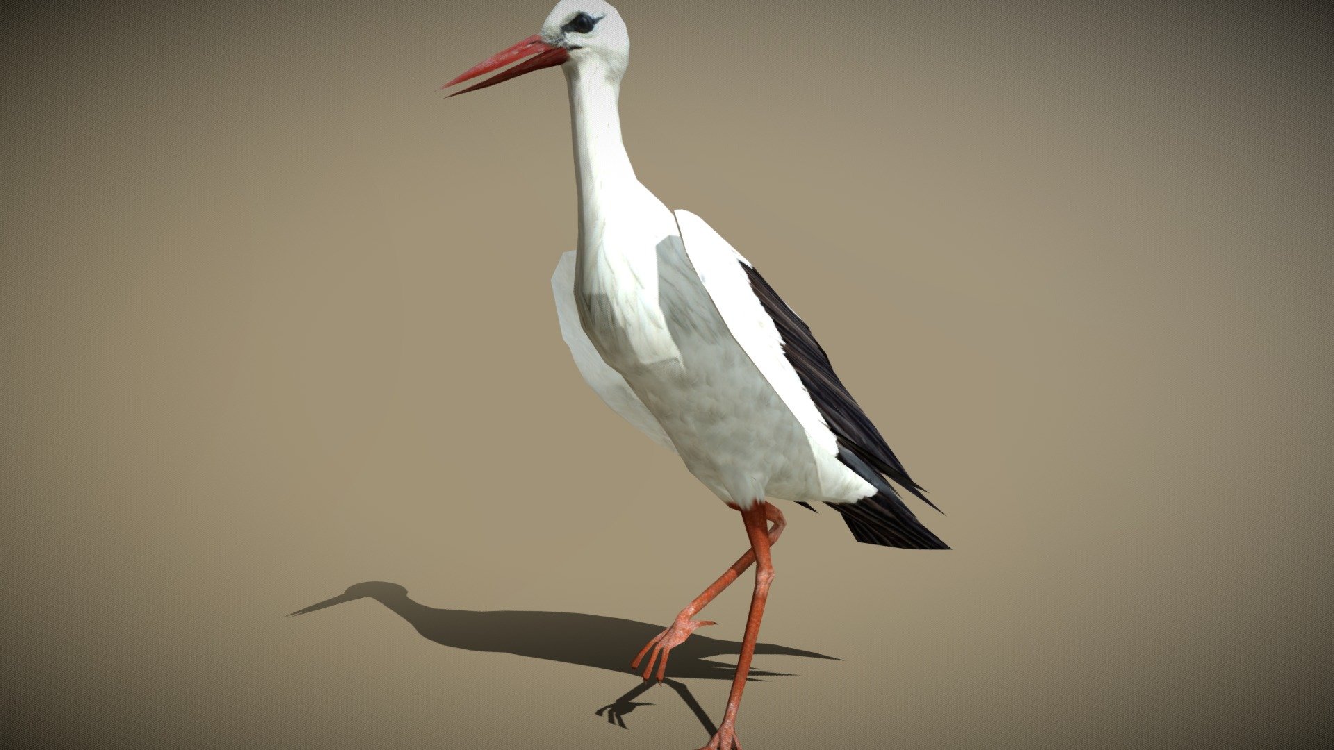 3DRT - birds and critters - stork - 3D model by 3DRT.com [71c0334 ...