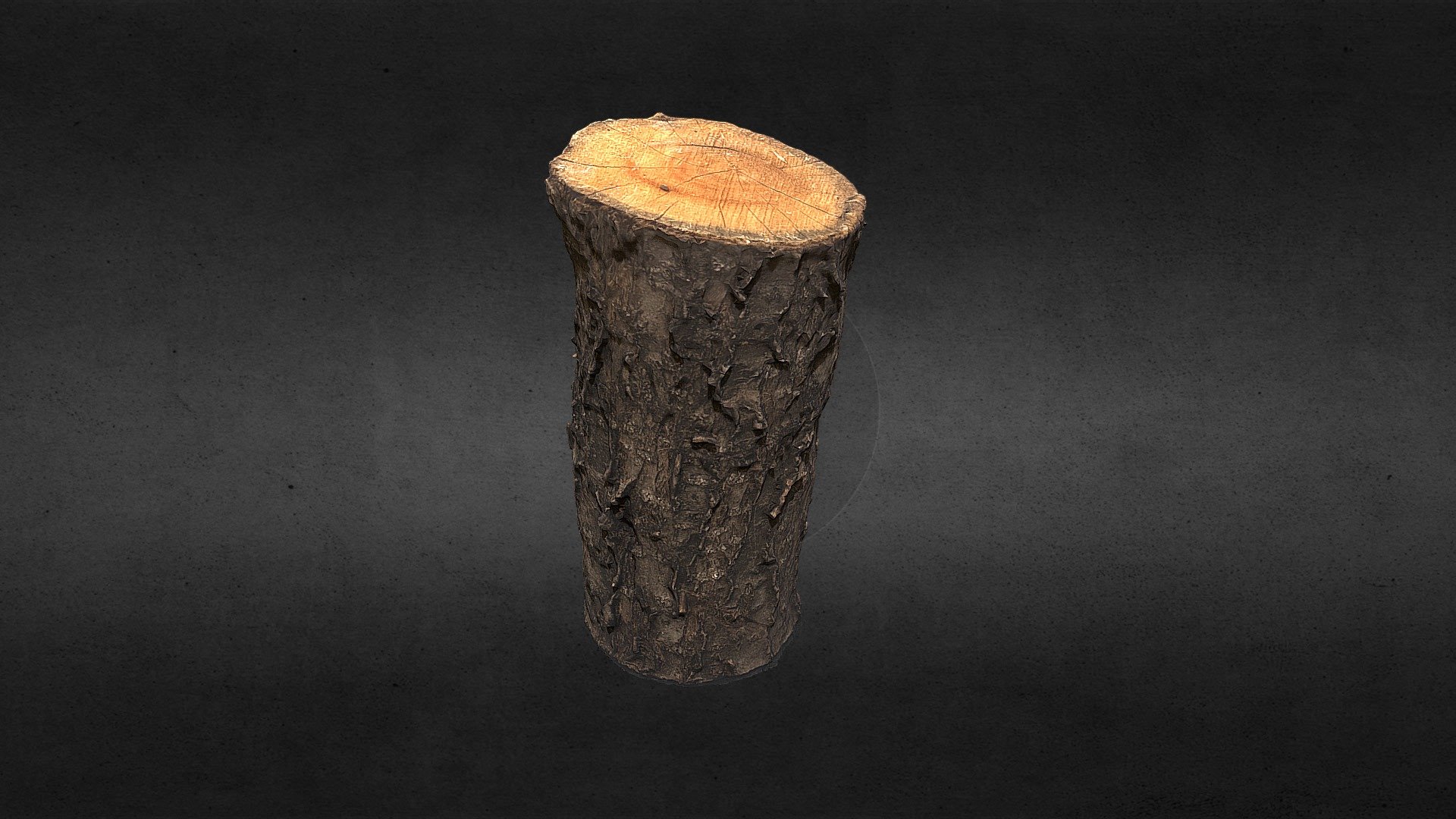 Log Scan - Download Free 3D model by derekford [71ce238] - Sketchfab