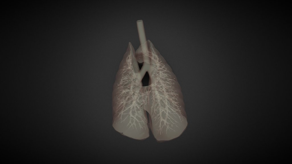 Abnormal - A 3D model collection by Amogh Batwal (@amoghbatwal) - Sketchfab