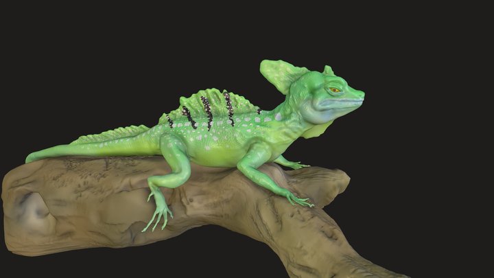 Basilisk 3D models - Sketchfab