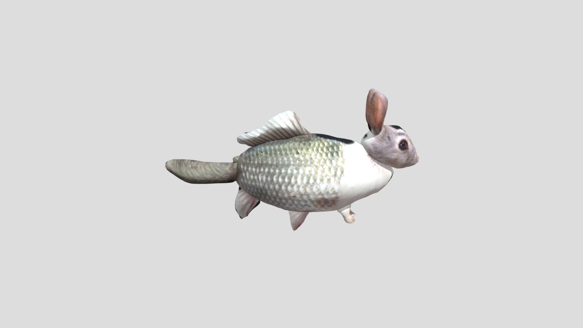 a happy rabbitfish - 3D model by ytchen0611 [71e2544] - Sketchfab