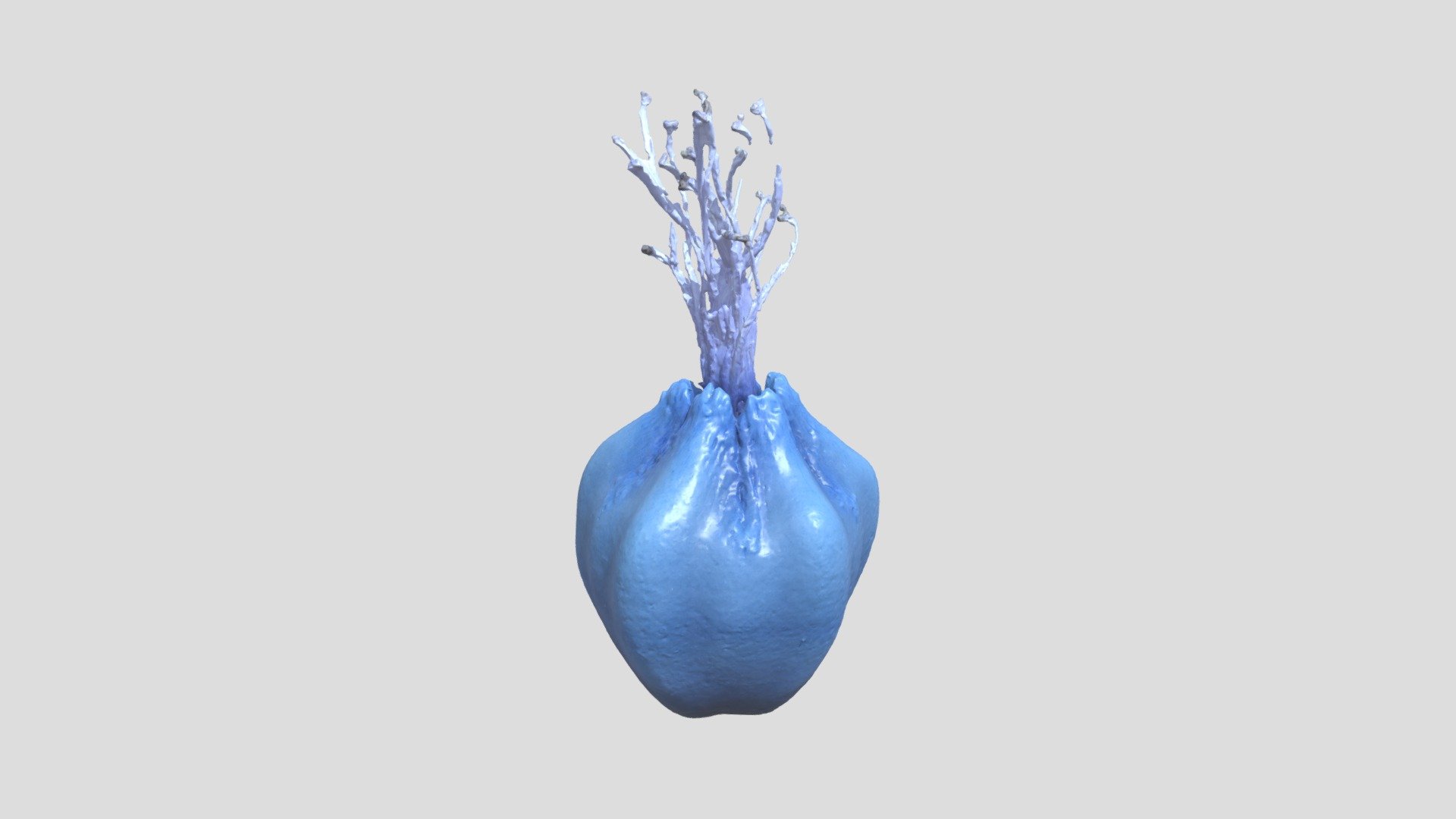kdu_glass_plant_blue - 3D model by nagayoshi-h [71f1dd9] - Sketchfab