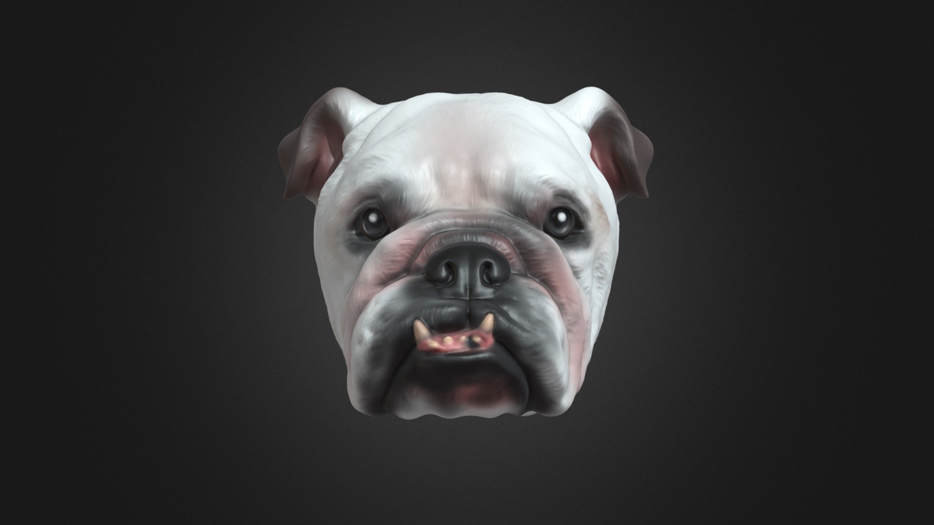 Gen's English Bulldog model - 3D model by Seed by mi (@seedbymi ...
