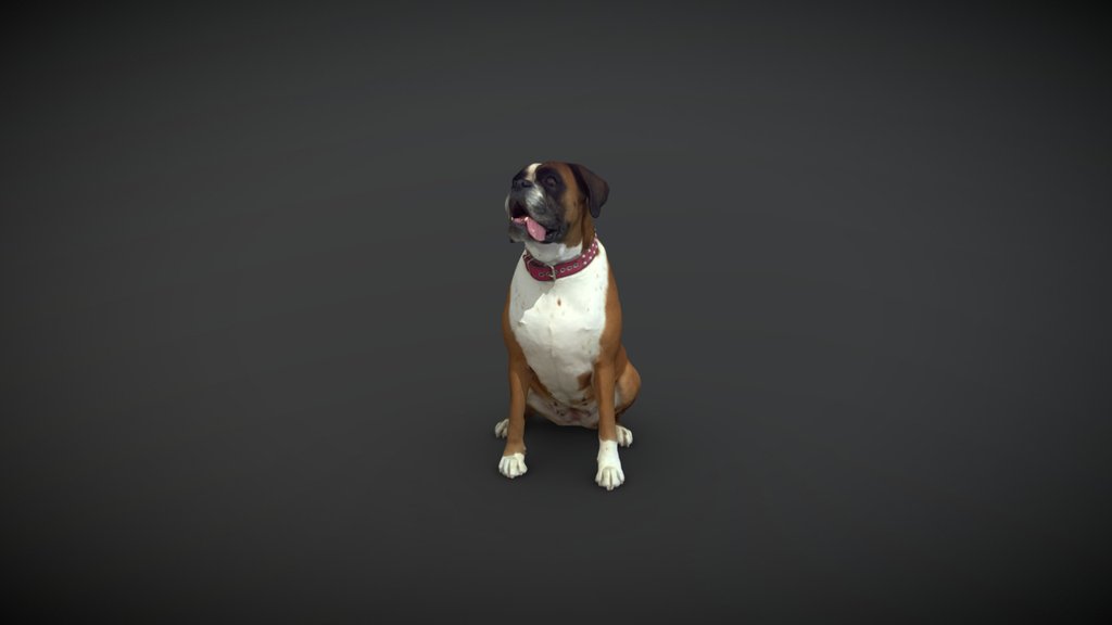 pet - A 3D model collection by 3dhobbyth - Sketchfab