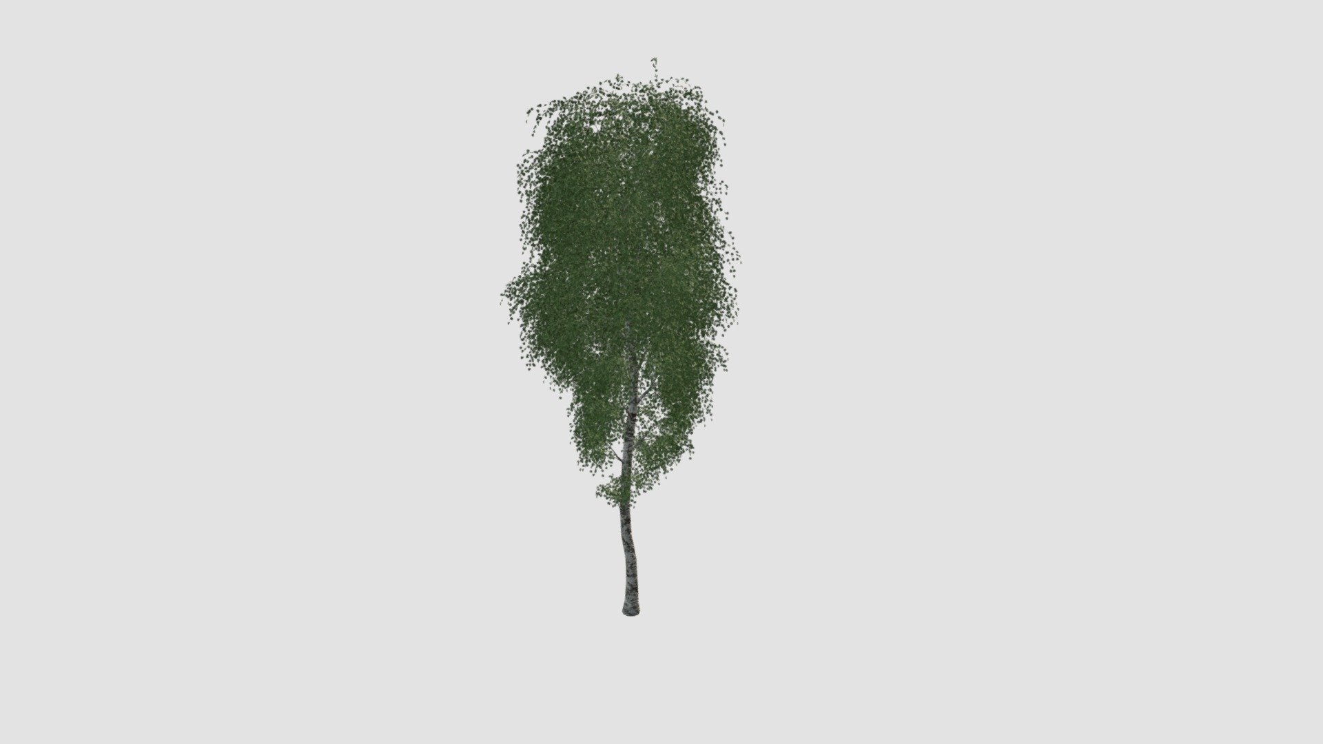 tree - Buy Royalty Free 3D model by Evermotion [71f83f1] - Sketchfab Store