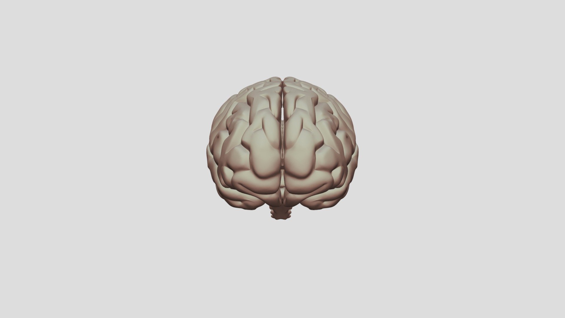 Brain For 3dPrinting - 3D model by deniz.kudayar [71f9445] - Sketchfab