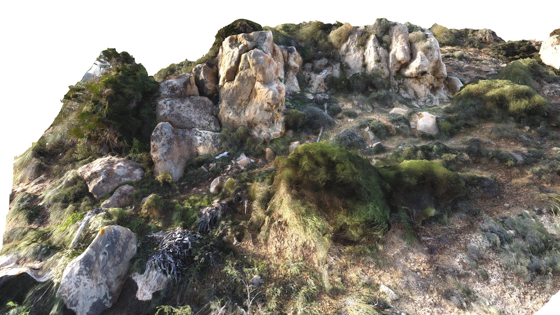 Silicified dike, Spain - Download Free 3D model by Sara Carena ...