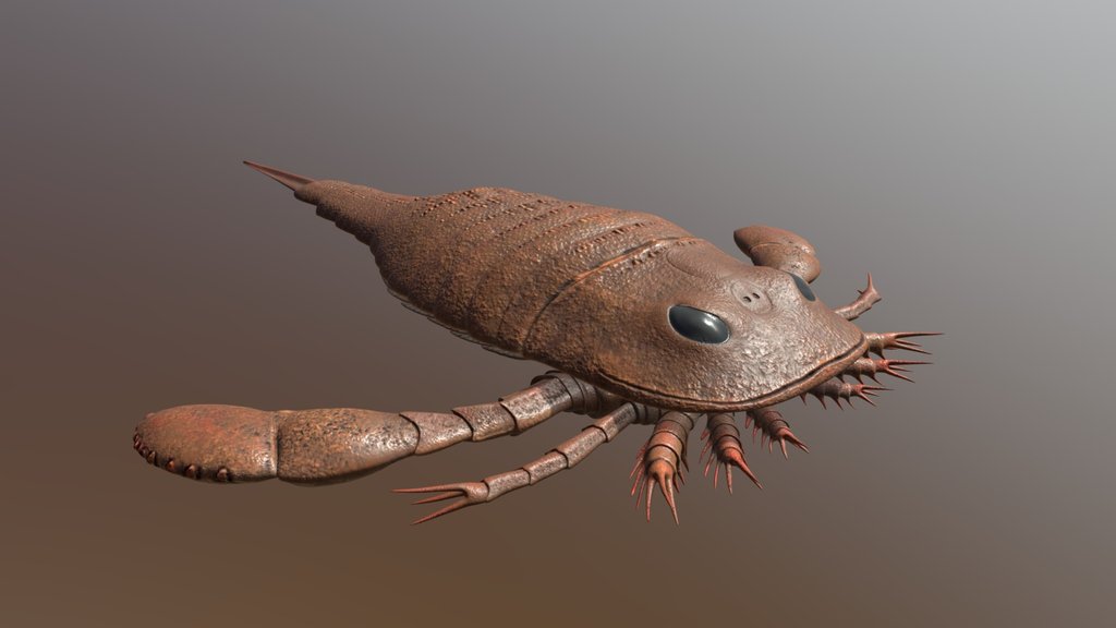 Eurypterid - A 3D model collection by Shelly.Elfelt - Sketchfab