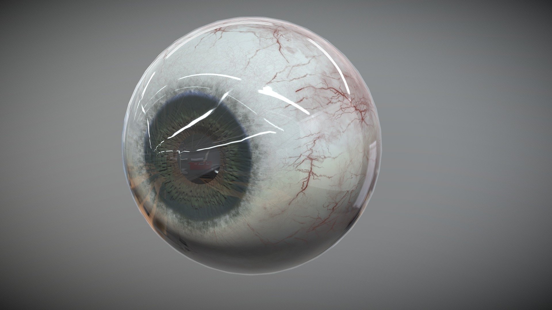 Eyeball - 3D model by Cat (@catherine.doucet26) [7207298] - Sketchfab