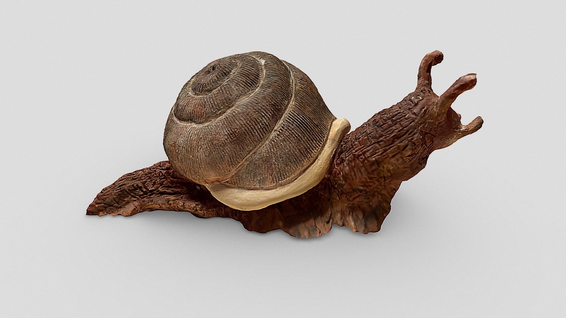 Snail - Download Free 3D model by Emm (@edemaistre) [7212c0c] - Sketchfab