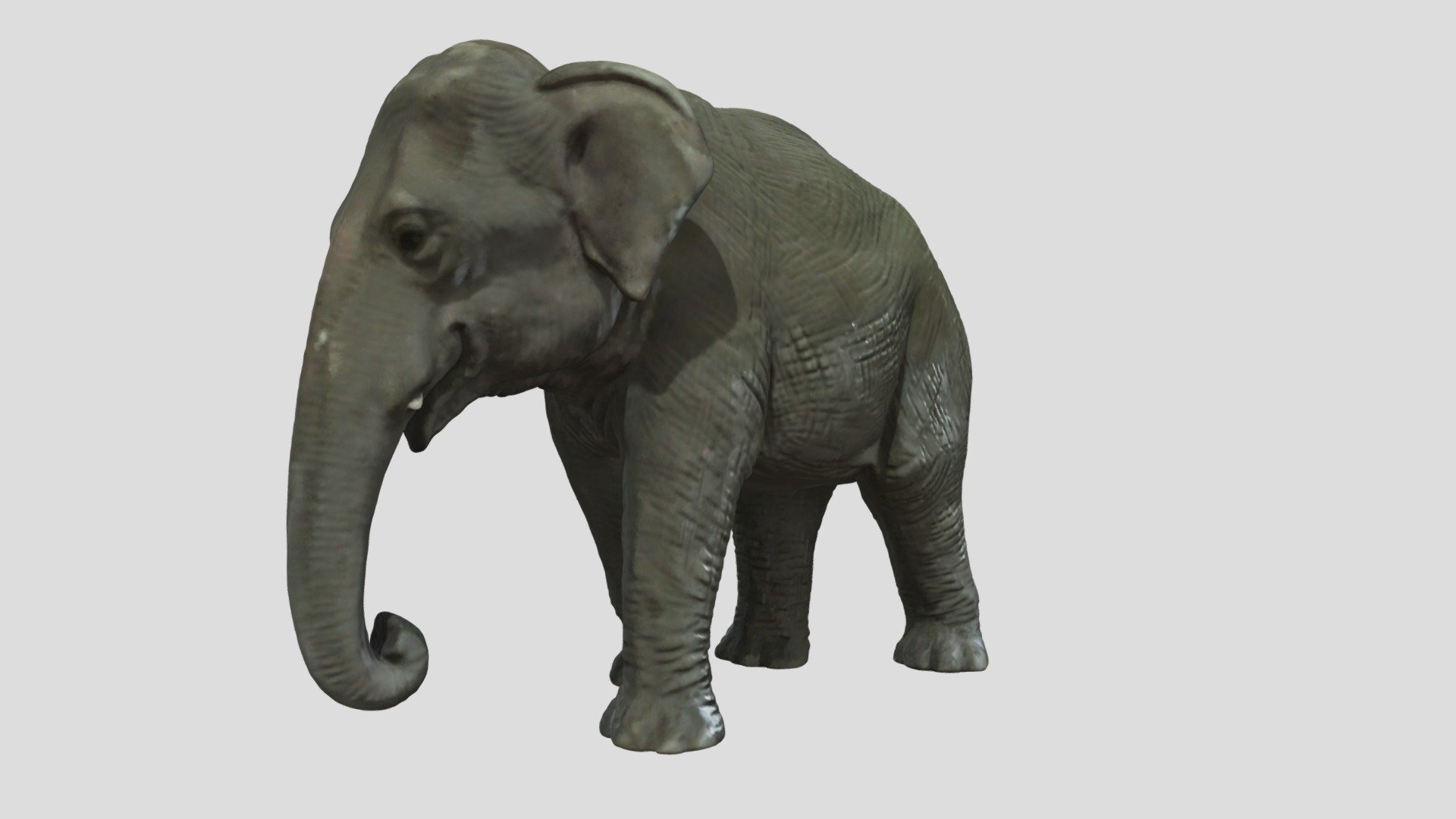 Elephant Model - Download Free 3D model by m.wilson [7217d0d] - Sketchfab