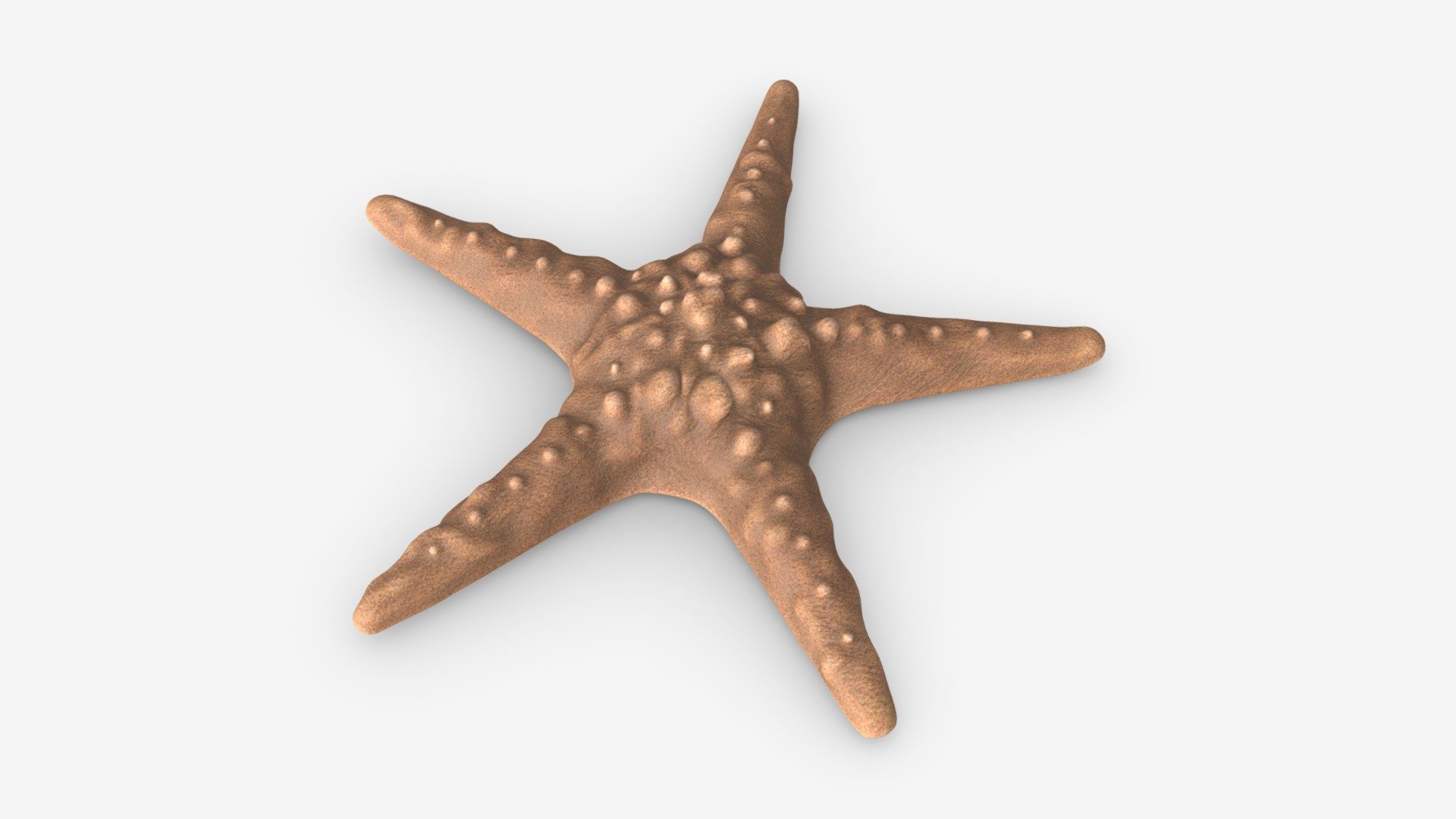 Sea star - Buy Royalty Free 3D model by HQ3DMOD (@AivisAstics) [722016e ...