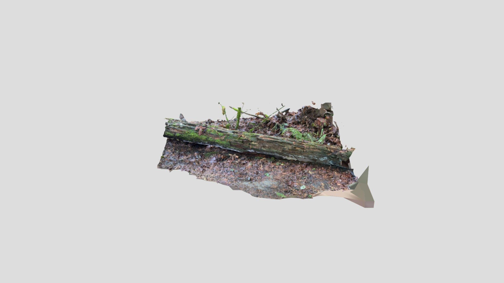 Fallen Tree - PNW - Download Free 3D model by Kickflipkid687 [7224e69 ...