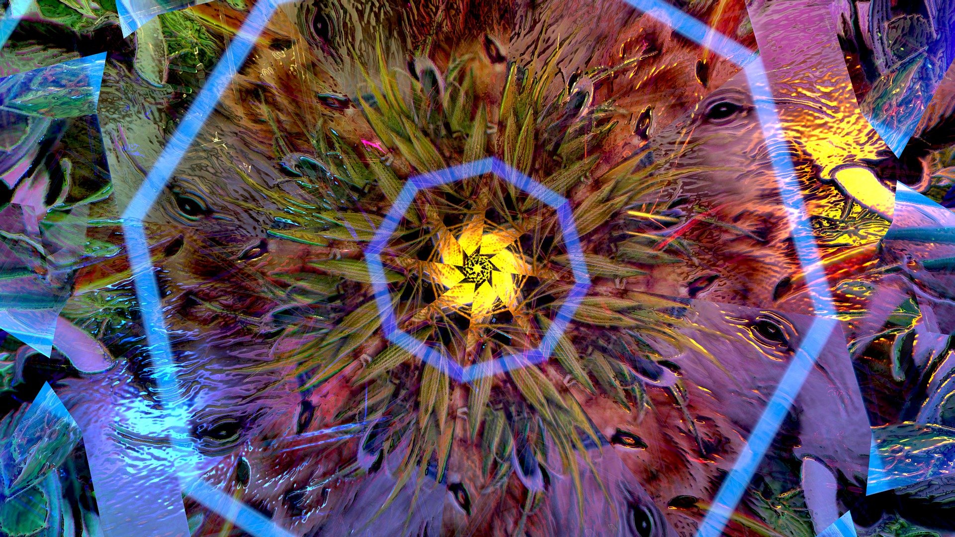 Infinite Mandala Generator ( Wild life version ) - Download Free 3D ...
