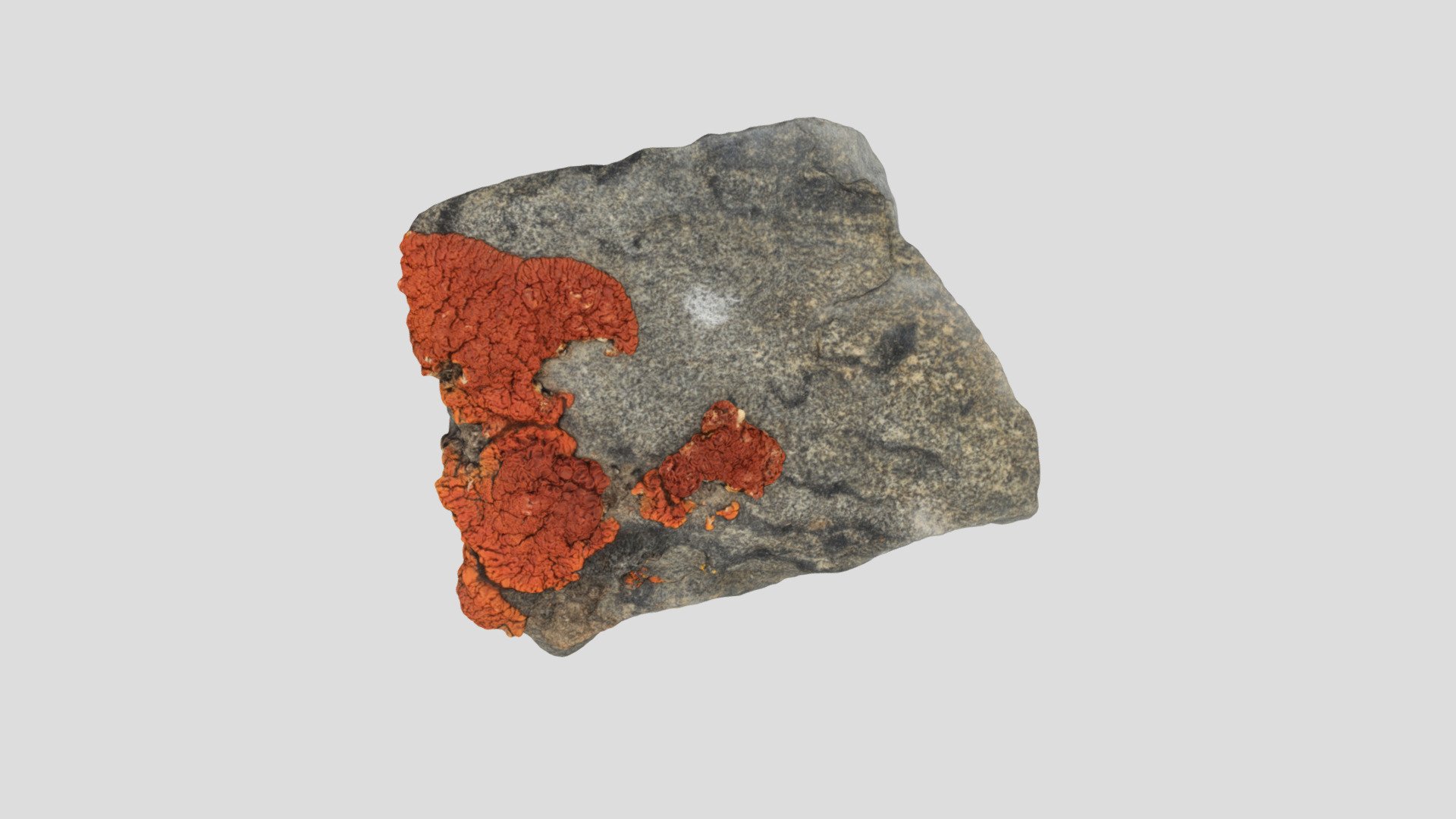 MNA #1107 - 3D model by SMA-UniGe [722b4e1] - Sketchfab