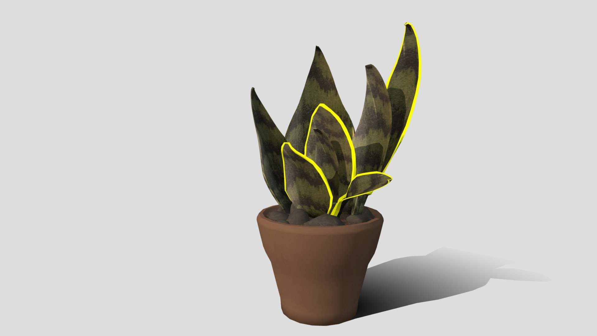 Snake Plant - Download Free 3D model by MattParson [722c07f] - Sketchfab