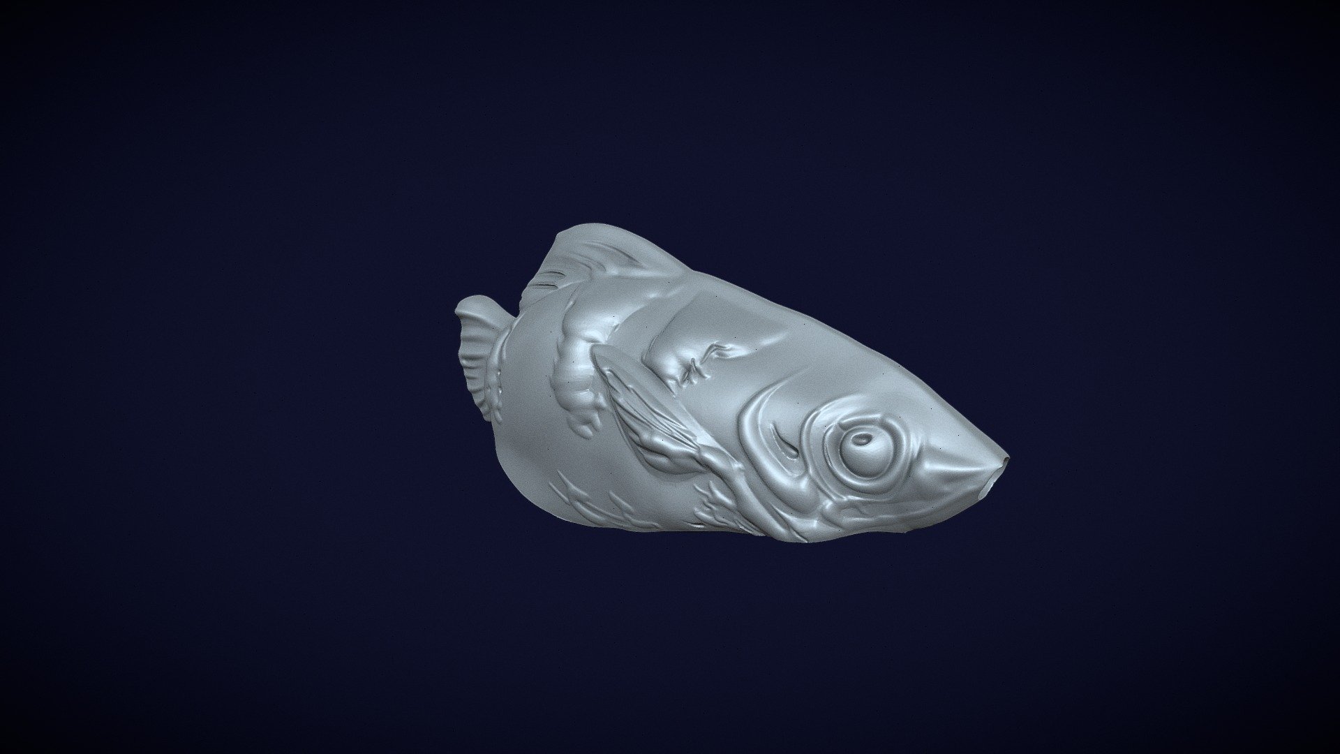 ArcherFish_Final2 - 3D model by ACI (@jlscor) [7235ffe] - Sketchfab