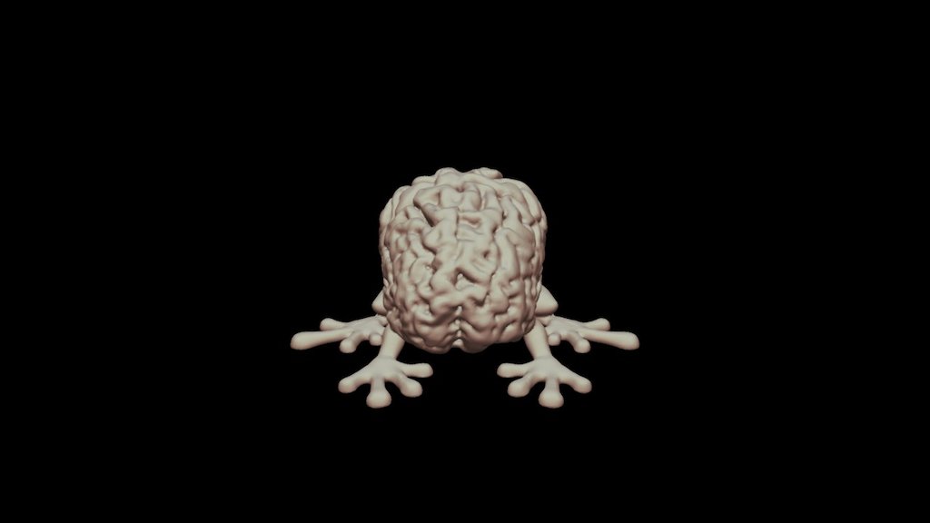 Gift - Brain Frog - 3D model by ArtlabPlus [723a3fc] - Sketchfab